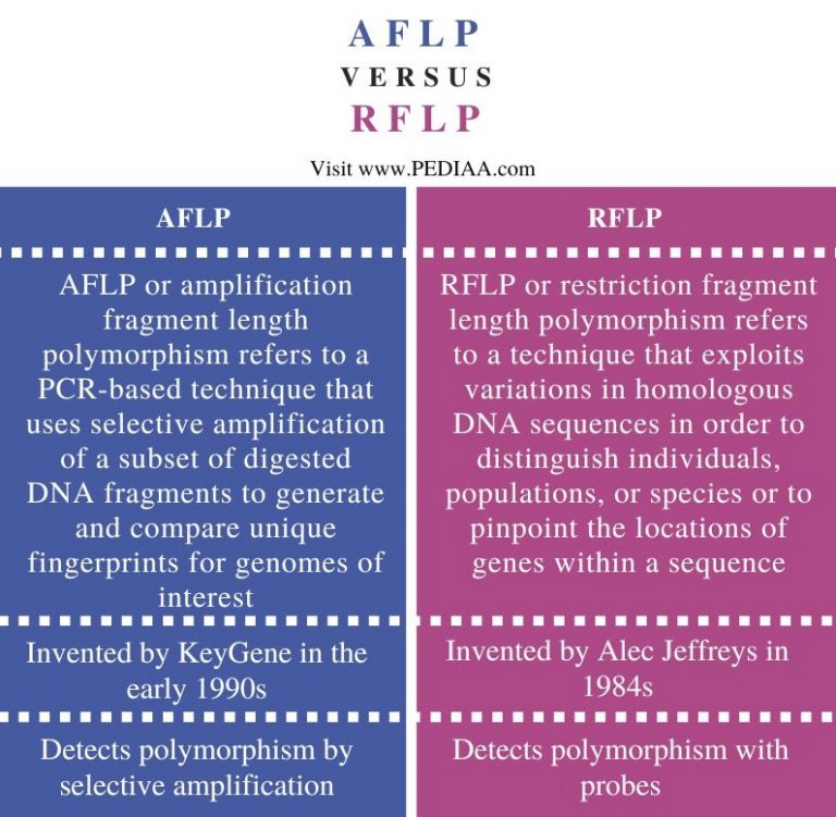 What is the Difference Between AFLP and RFLP – Pediaa.Com