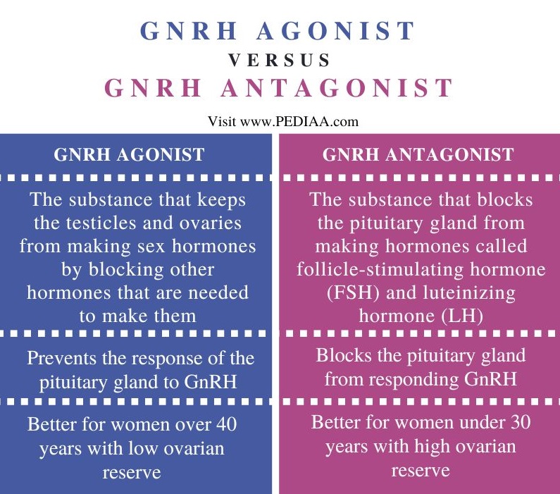What is the Difference Between GnRH Agonist and Antagonist - Pediaa.Com