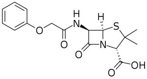 What is the Difference Between Penicillin G and Penicillin V – Pediaa.Com