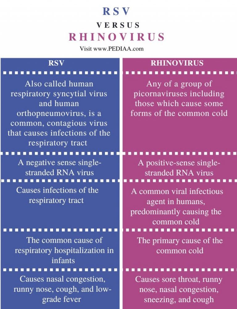 What is the Difference Between RSV and Rhinovirus - Pediaa.Com