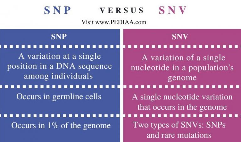 What is the Difference Between SNP and SNV - Pediaa.Com