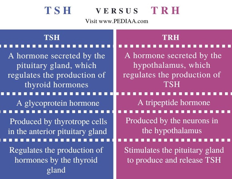 What Is The Difference Between TSH And TRH Pediaa Com what-is-the-difference-between-tsh-and-trh-pediaa-com