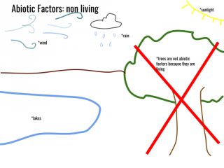 What is the Difference Between Ecocentric and Biocentric - Pediaa.Com