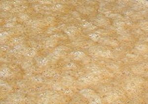 What is the Difference Between Fermentation and Rotting - Pediaa.Com