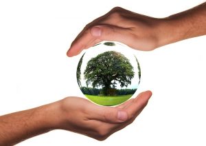 What is the Difference Between Conservation and Sustainability - Pediaa.Com