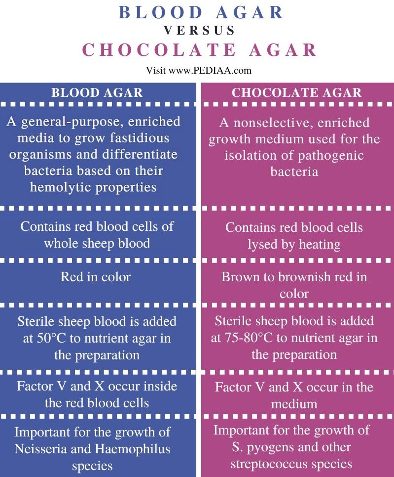 What is the Difference Between Blood Agar and Chocolate Agar - Pediaa.Com