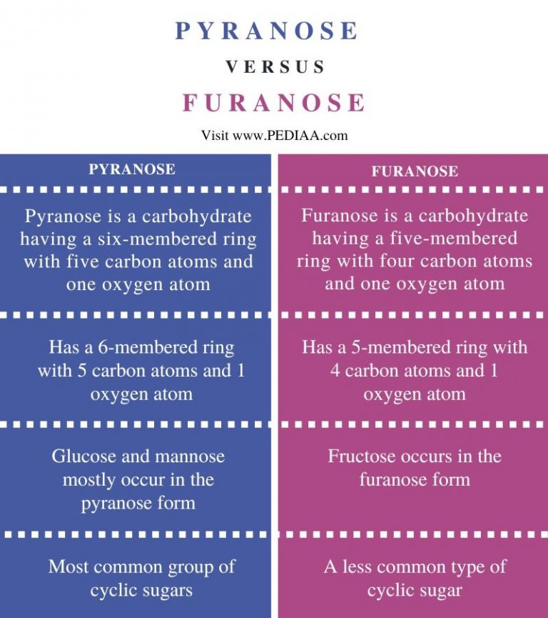 What is the Difference Between Pyranose and Furanose - Pediaa.Com