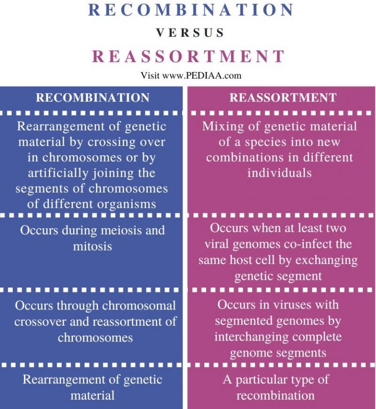 What is the Difference Between Recombination and Reassortment - Pediaa.Com