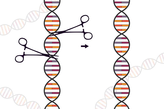 What is the Difference Between CRISPR and Restriction Enzymes - Pediaa.Com