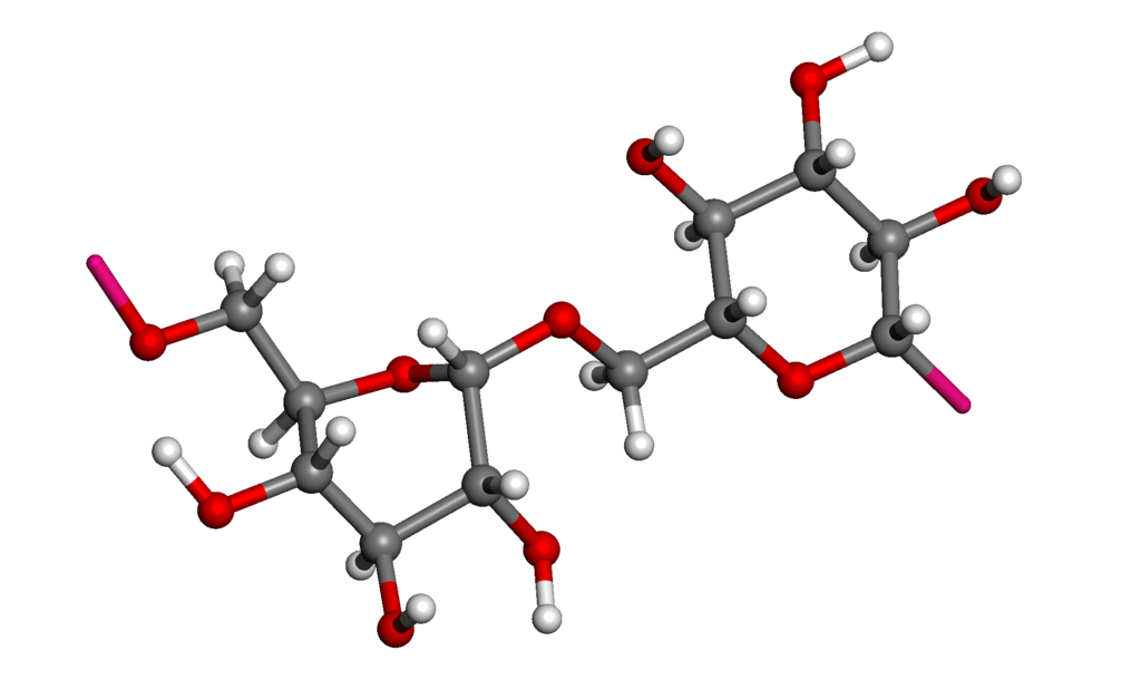 What is the Difference Between Dextrose Dextrin and Dextran - Pediaa.Com