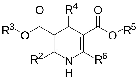 What is the Difference Between Calcium Channel Blockers and Beta ...