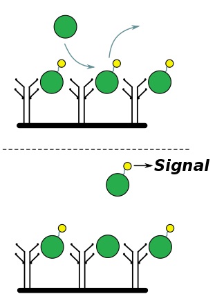 What is the Difference Between Homogeneous and Heterogeneous ...