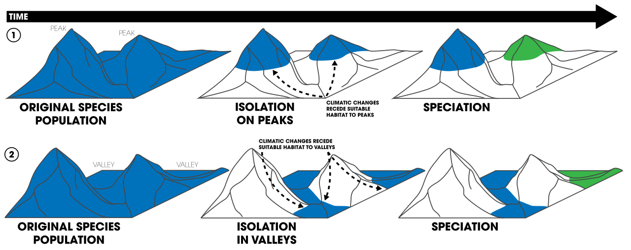 What is the Difference Between Allopatric Sympatric and Parapatric ...
