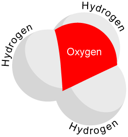 What is the Difference Between Hydronium Ion and Hydroxide Ion - Pediaa.Com