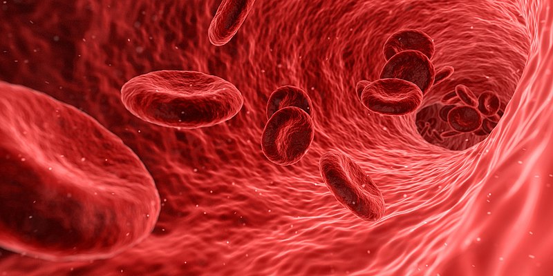 What is the Difference Between Cytopenia and Pancytopenia - Pediaa.Com