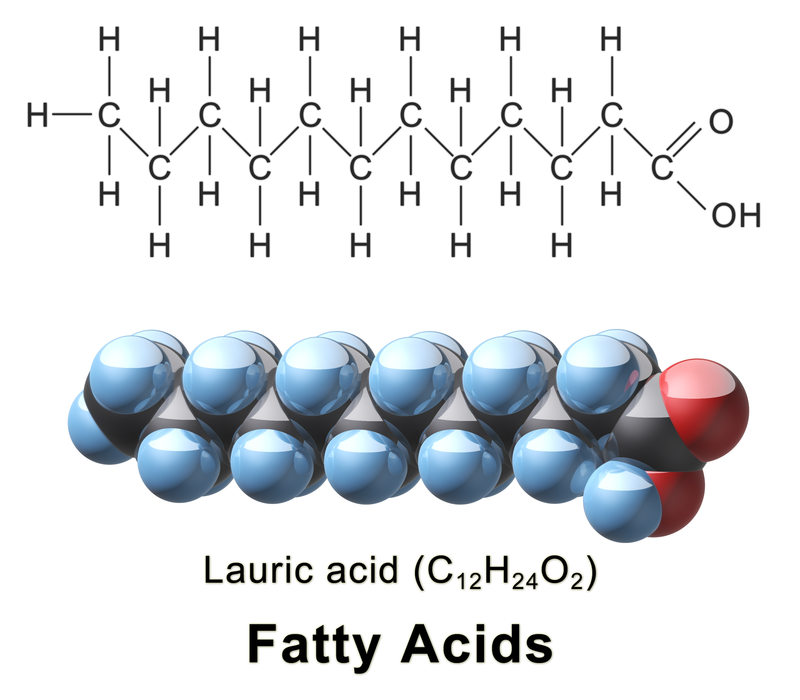 What is the Difference Between Fatty Acid and Free Fatty Acid - Pediaa.Com