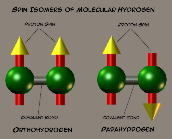 What is the Difference Between Ortho and Para Hydrogen - Pediaa.Com