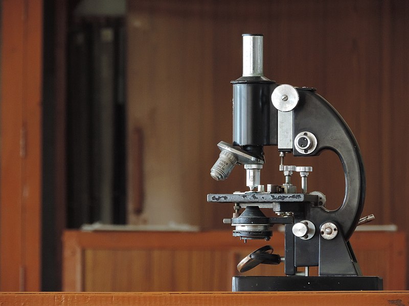What is the Difference Between Simple and Compound Microscope - Pediaa.Com