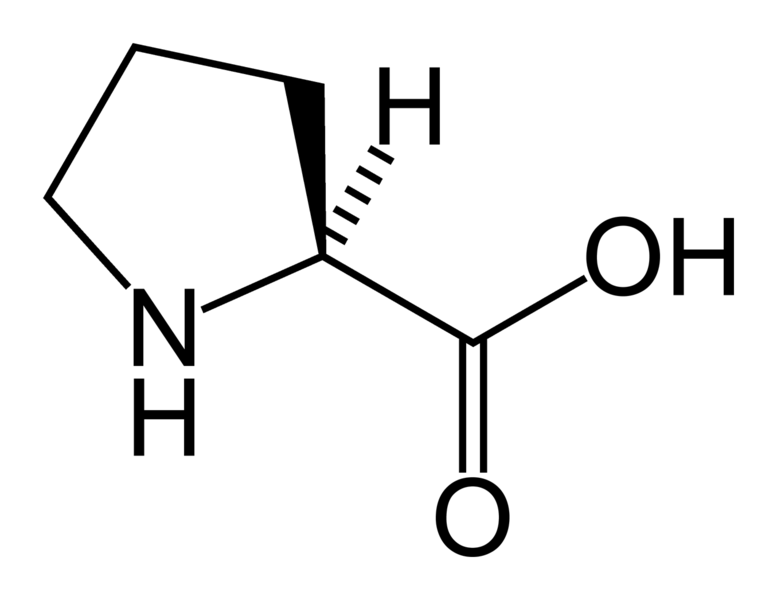 What is the Difference Between Amino Acid and Imino Acid - Pediaa.Com