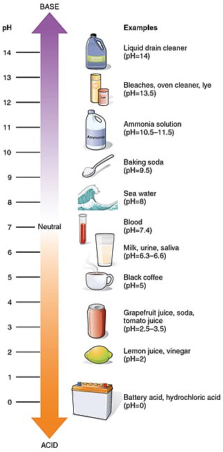 What is the Difference Between Total Alkalinity and pH - Pediaa.Com