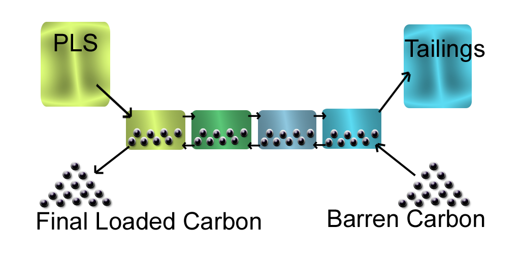 What is the Difference Between CIL and CIP - Pediaa.Com