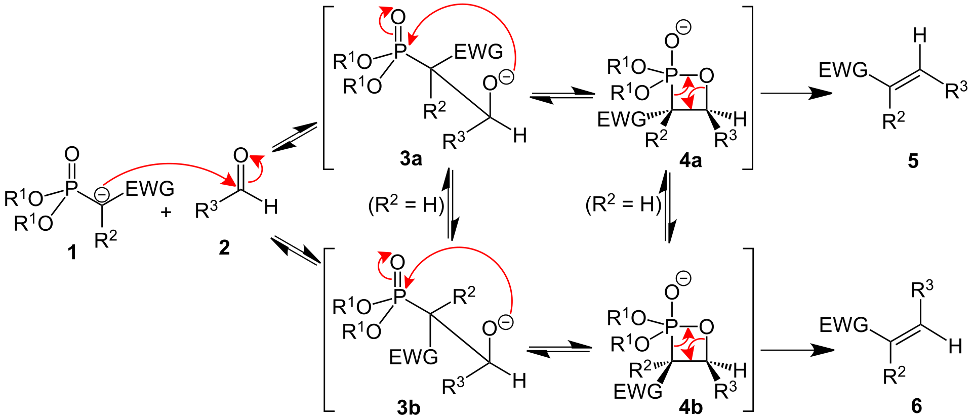 What is the Difference Between Wittig and Wittig Horner Reaction ...