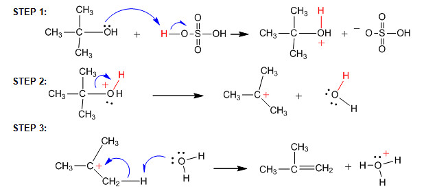 What is the Difference Between Classical and Nonclassical Carbocation ...