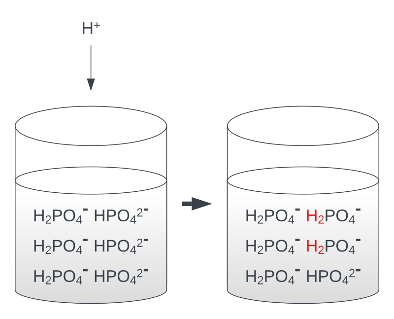 What Is The Difference Between Buffer Solution And Salt Hydrolysis Pediaacom