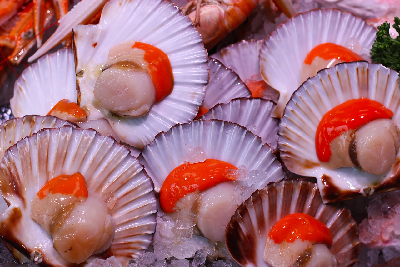 What is the Difference Between Scallops and Clams - Pediaa.Com